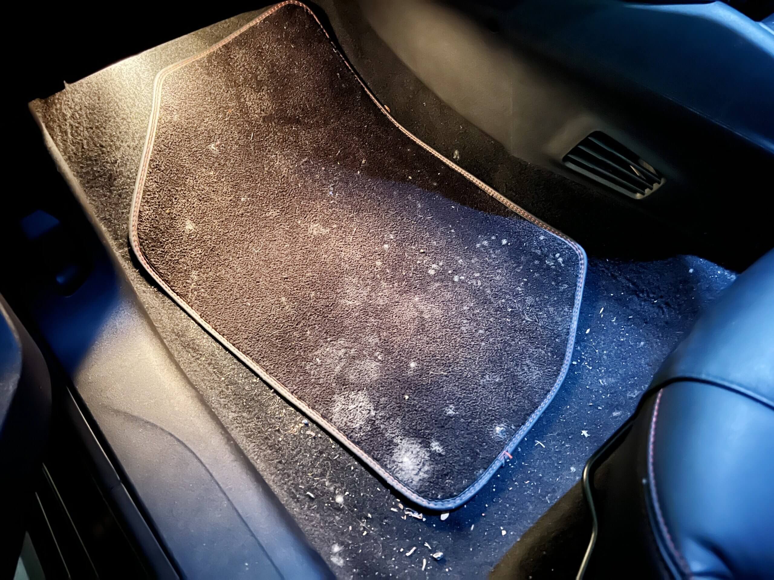 Car mould removal: tips and techniques – GetNeat
